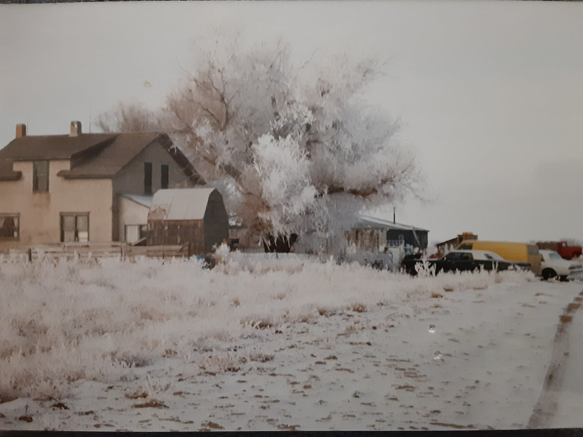 Blue Robin Story – Blue Robin Kitchen